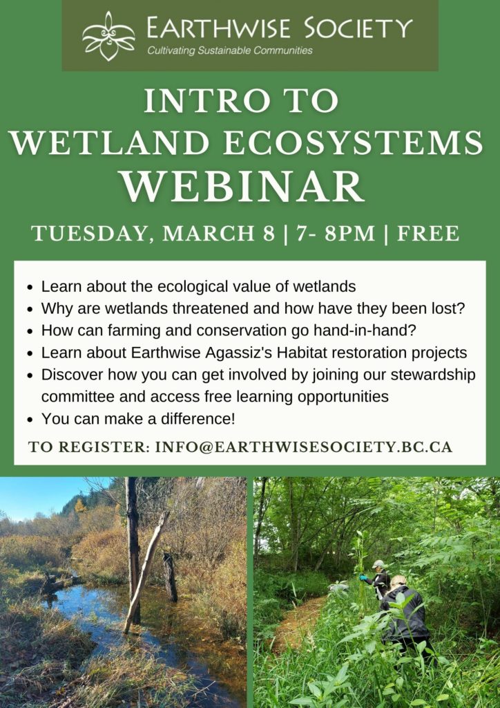 Ew intro to wetlands poster final (1) – Earthwise Society