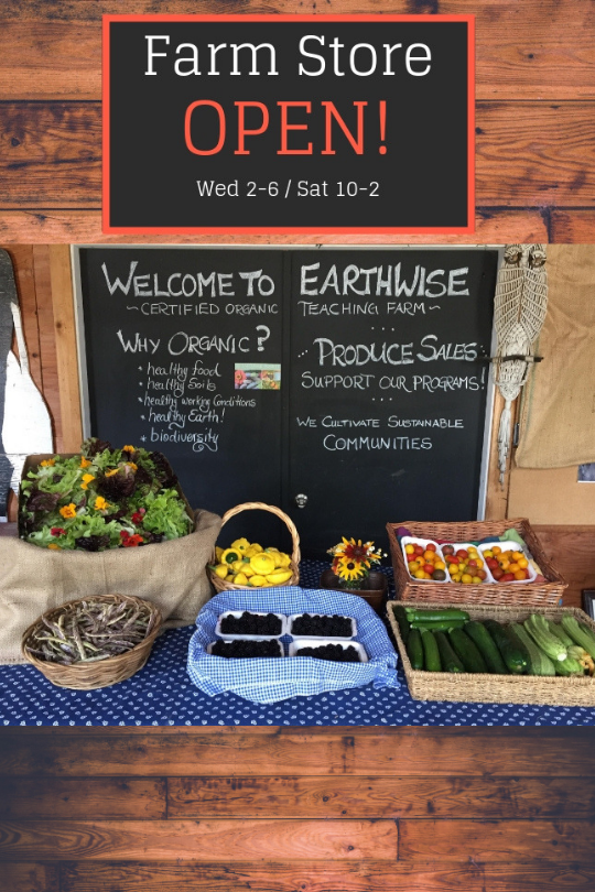 earthwise farm store open – Earthwise Society