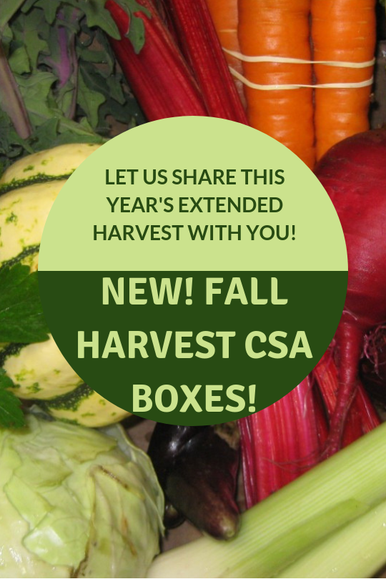 earthwise fall harvest box web graphic – Earthwise Society
